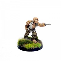 Midlam Miniatures